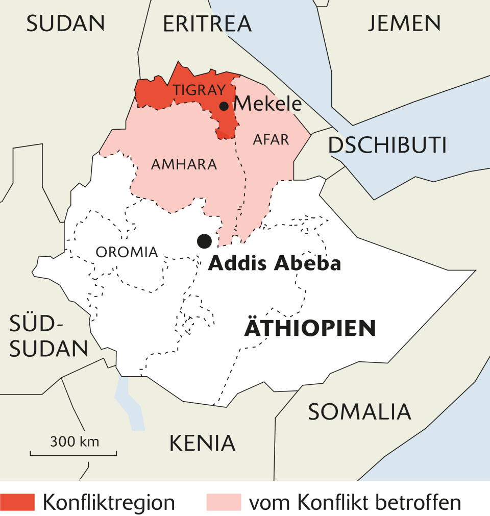 Krieg in Tigray: «Abiy agiert aus Verzweiflung» | WOZ Die Wochenzeitung