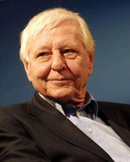 Hans Magnus Enzensberger (1929–2022): Den Kurs setzen und Fahrpläne ...