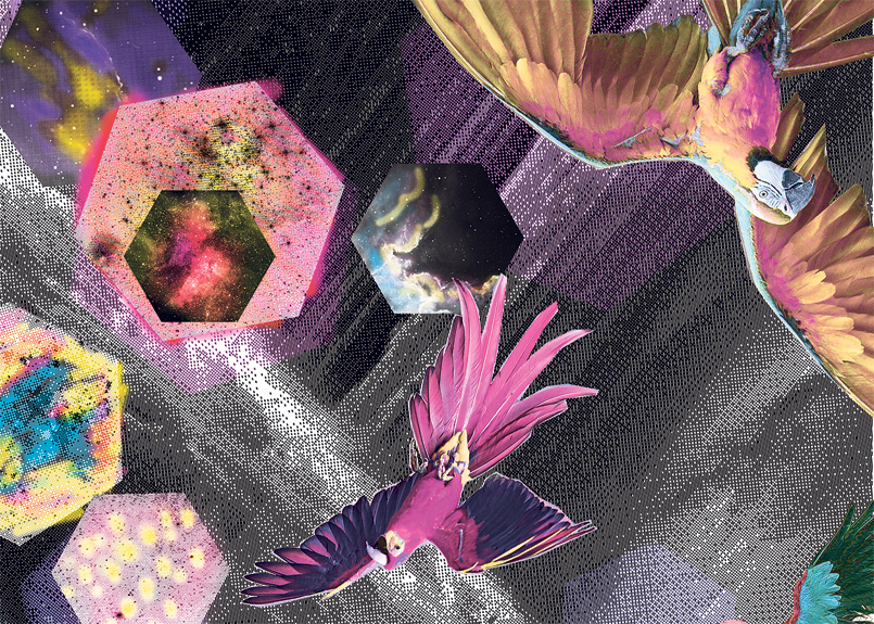 LSD-Forschung: Als die Wissenschaftler ins Schwärmen kamen | WOZ Die ...